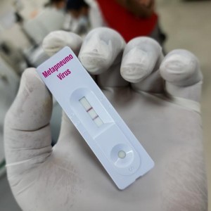 METAPNEUMOVÍRUS: O QUE É, SINTOMAS, TRANSMISSÃO E TRATAMENTO